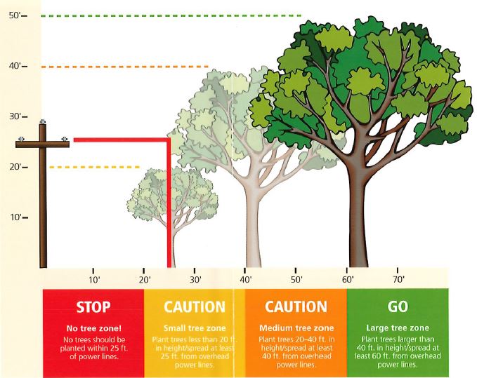 Outdoor Safety | Cleco